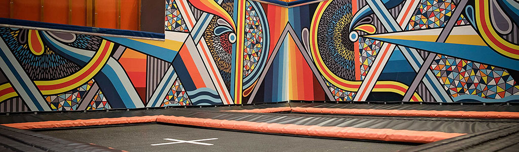 Sky Zone Franchise Opportunity